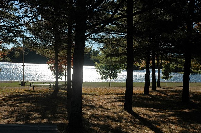 Spend your Summer at Shade's Mills in Cambridge - Explore Waterloo Region