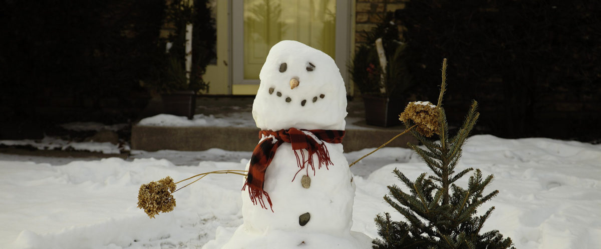 Local Buzz - Explore Waterloo Region