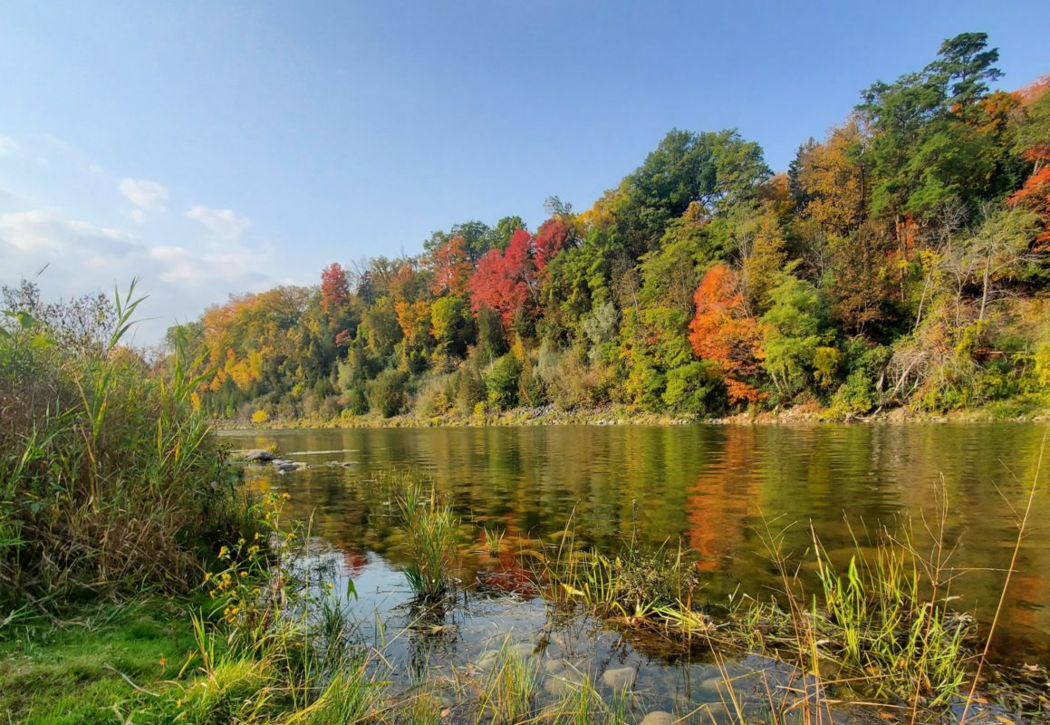 6 Epic Spots in Waterloo Region for Leaf Peeping Season - Explore ...