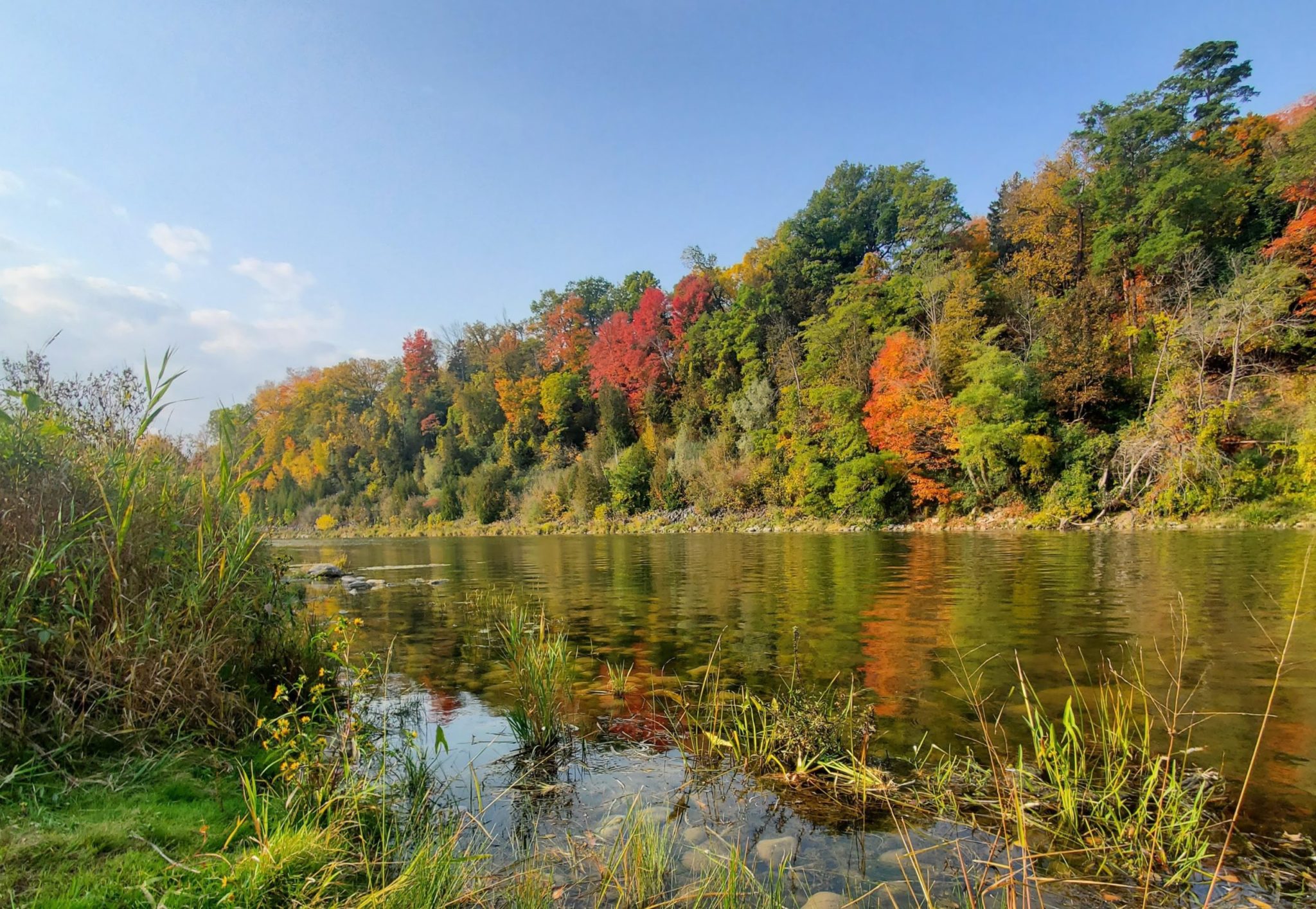 6 Epic Spots in Waterloo Region for Leaf Peeping Season - Explore ...