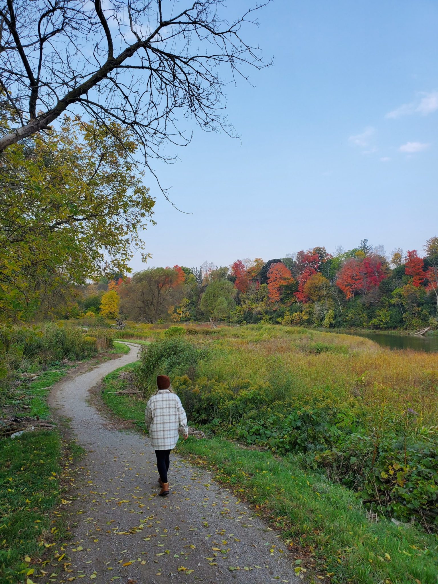 6 Epic Spots in Waterloo Region for Leaf Peeping Season - Explore ...