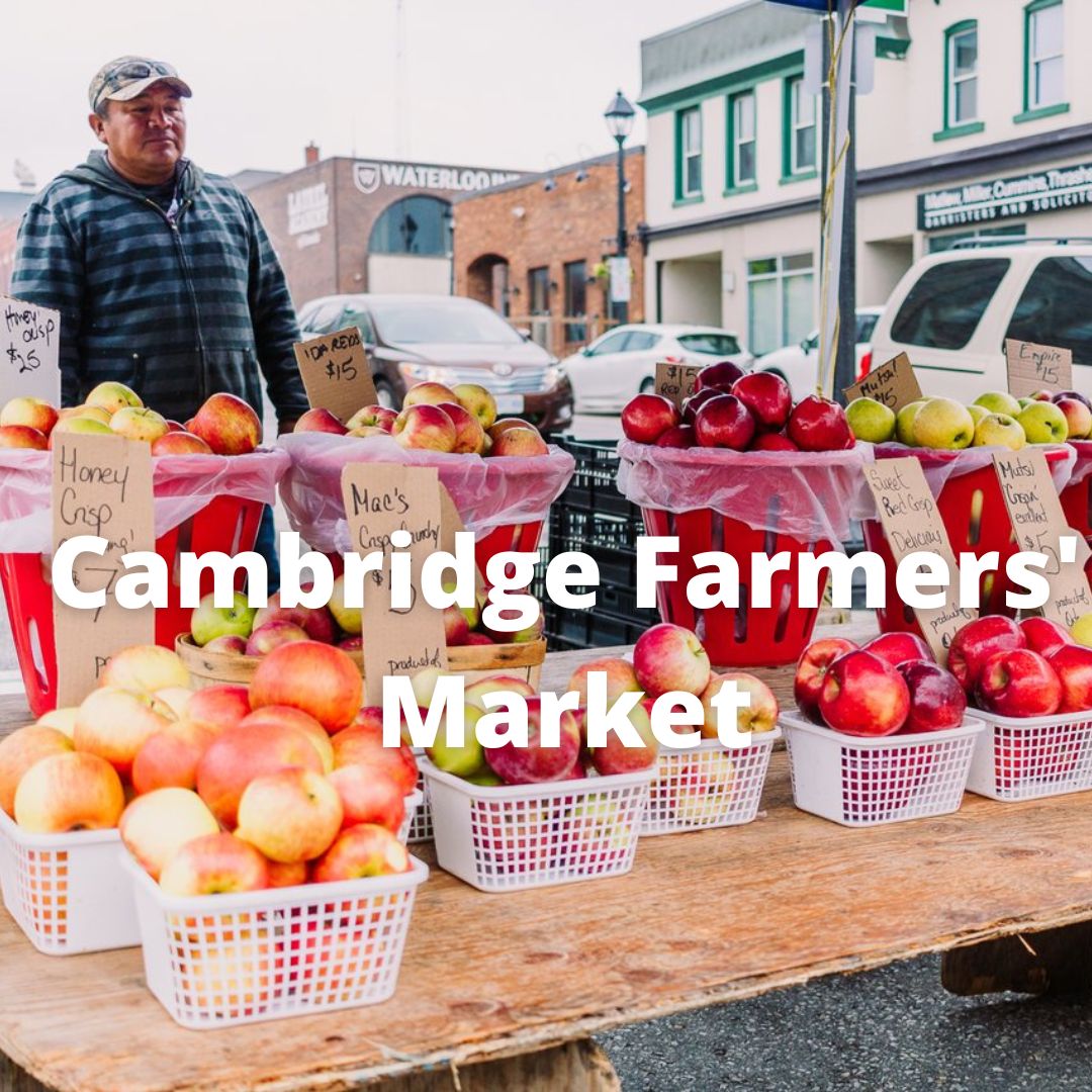 Eat Your Way through Waterloo Region's Year-round Farmers' Markets ...