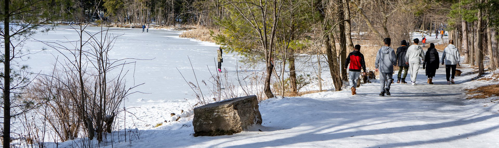 BEST TRAILS IN WATERLOO REGION FOR BEGINNER HIKERS - Explore Waterloo ...