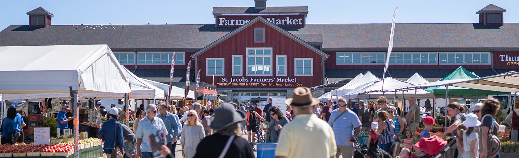 Farmers’ Markets in Waterloo Region - Explore Waterloo Region
