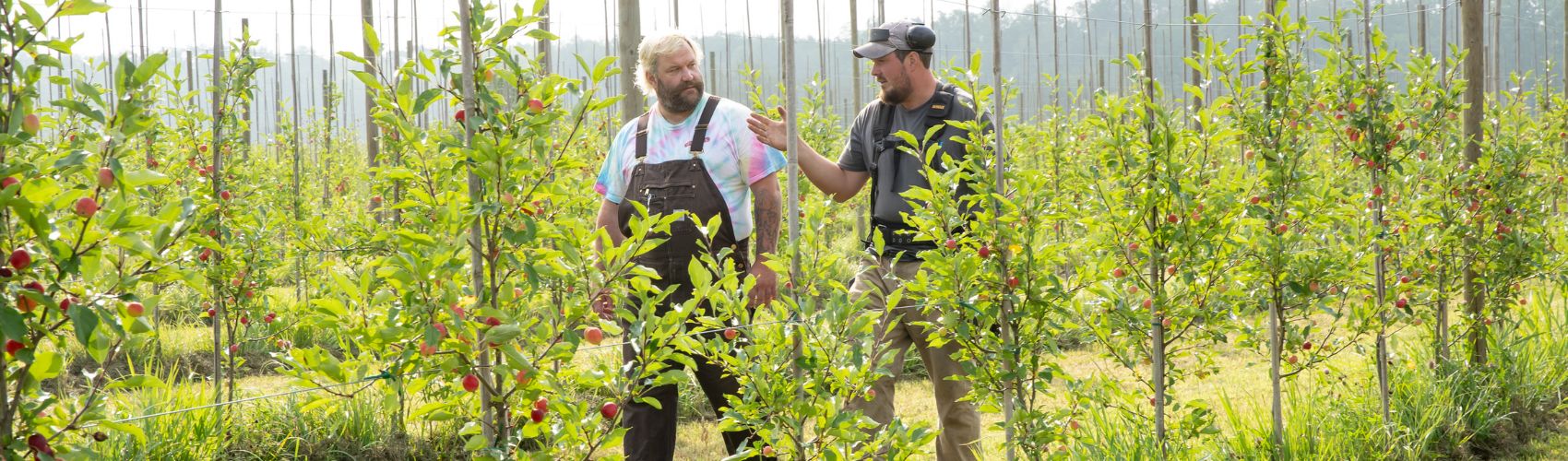 Chef's Blog: A sweet story about a crabby little apple - Explore ...