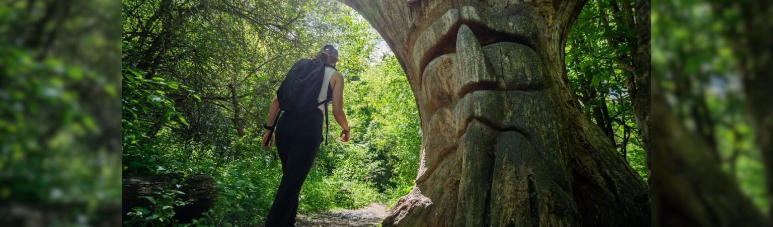 Where to PYO (Pick Your Own) in Waterloo Region - Explore Waterloo Region