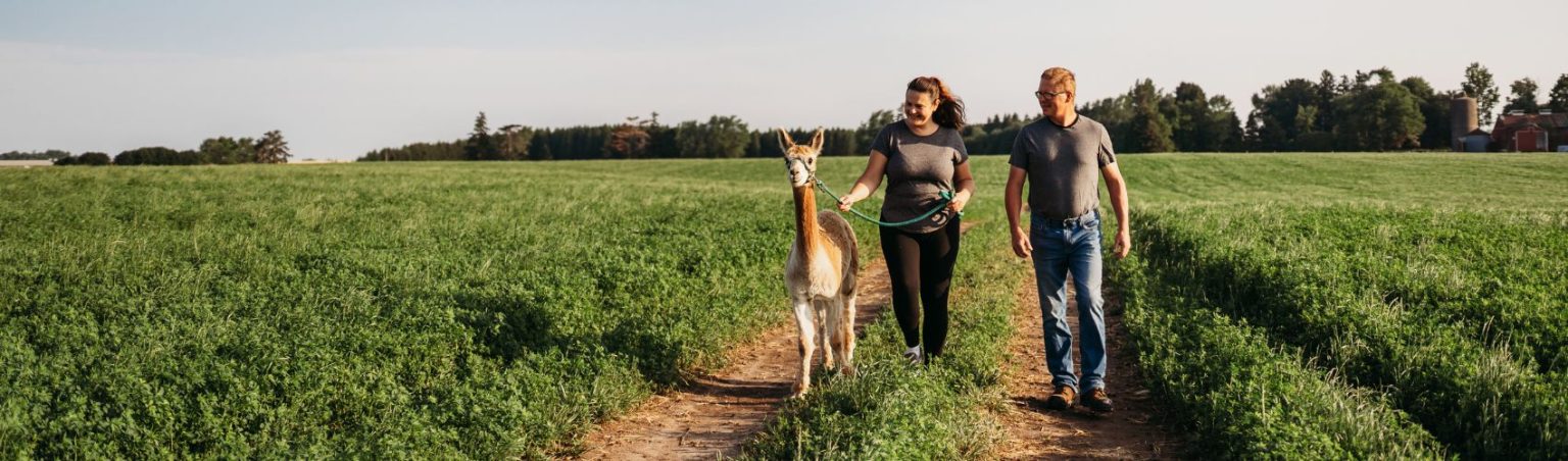 CULTURE AT EVERY CORNER: 7 must-visit museums and galleries in Waterloo Region - Explore ...